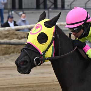 David Jacobson | America's Best Racing