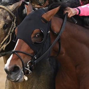 Danny Gargan | America's Best Racing