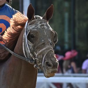 Repole Stable, Phipps Stable and St. Elias Stable | America's Best Racing