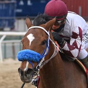 Gary Sciacca | America's Best Racing