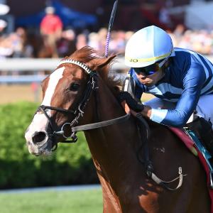 Gala Brand | America's Best Racing