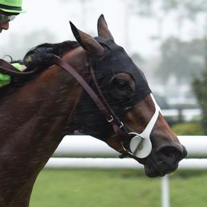 Lael Stables | America's Best Racing