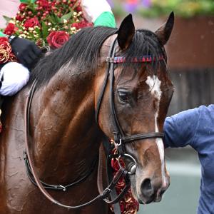 Mrs. Fitriani Hay | America's Best Racing