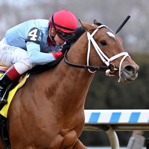 Lugan Knight | America's Best Racing