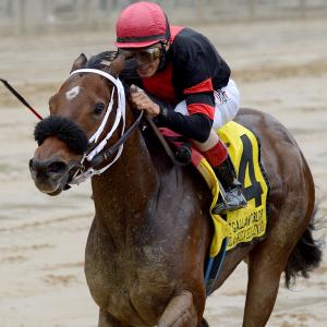 Michelle Nevin | America's Best Racing