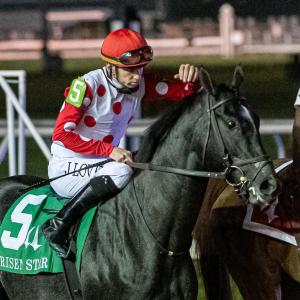 Terry L. Stephens | America's Best Racing