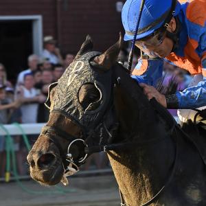 Yo Yo Candy | America's Best Racing