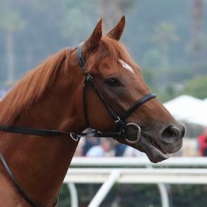 Charles Appleby | America's Best Racing