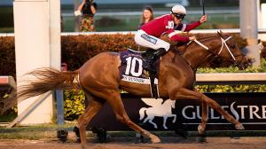 Gun Runner | America's Best Racing