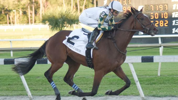 Sole Volante | America's Best Racing