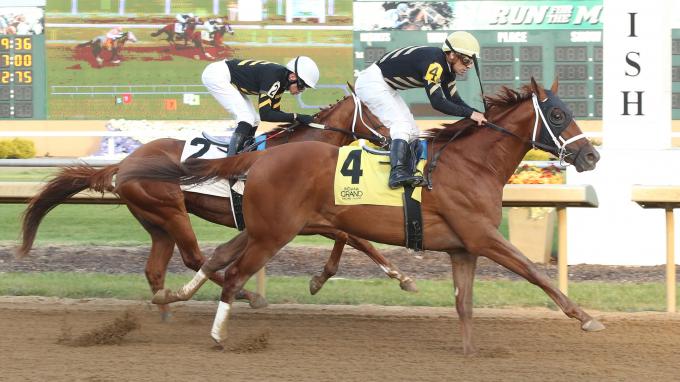 Bodock | America's Best Racing