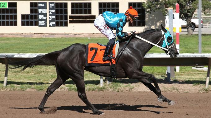 Canoodling | America's Best Racing