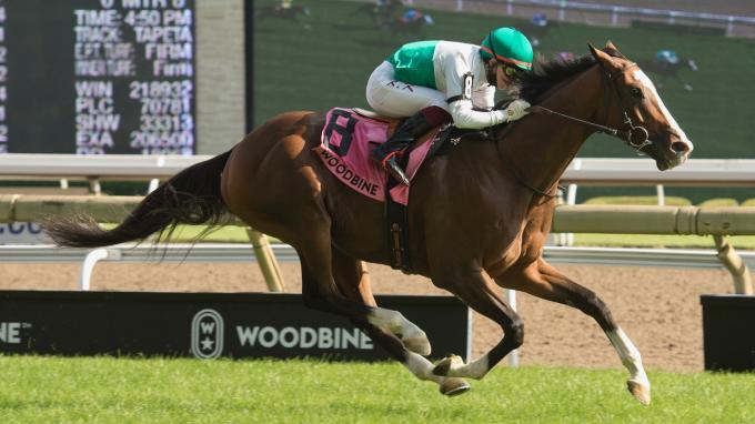 Corelli | America's Best Racing