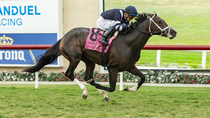 Endlessly | America's Best Racing