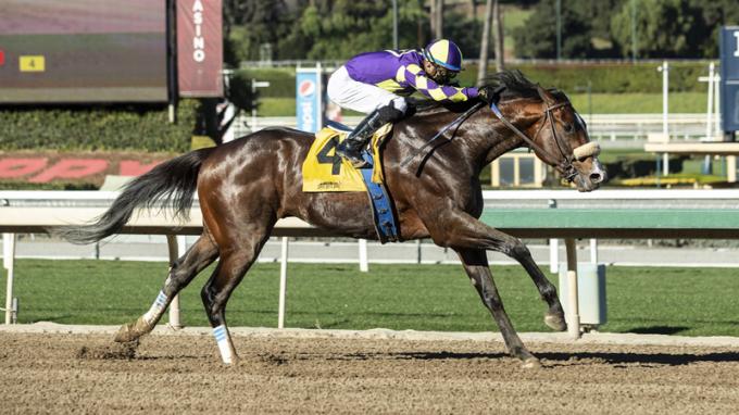Express Train | America's Best Racing