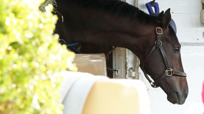 Flying Mohawk | America's Best Racing