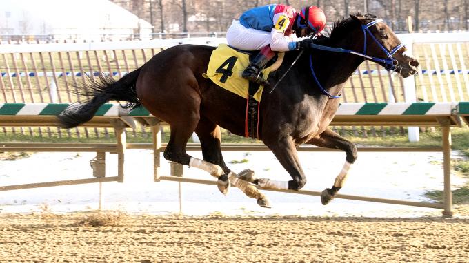 Harpers First Ride | America's Best Racing