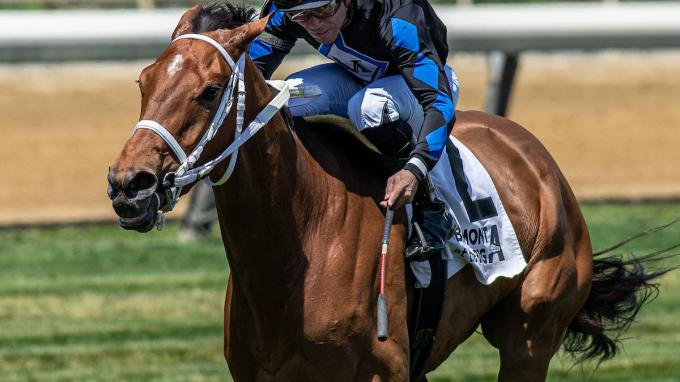 Neecie Marie | America's Best Racing