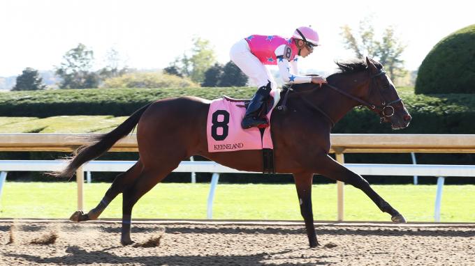 Raise Cain | America's Best Racing