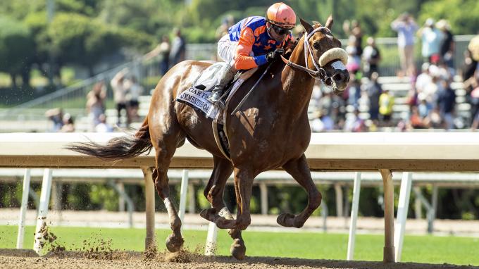 Sugar Fish | America's Best Racing
