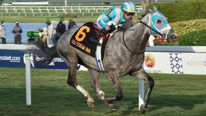 Tusk | America's Best Racing