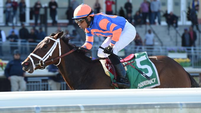 Always Shopping | America's Best Racing