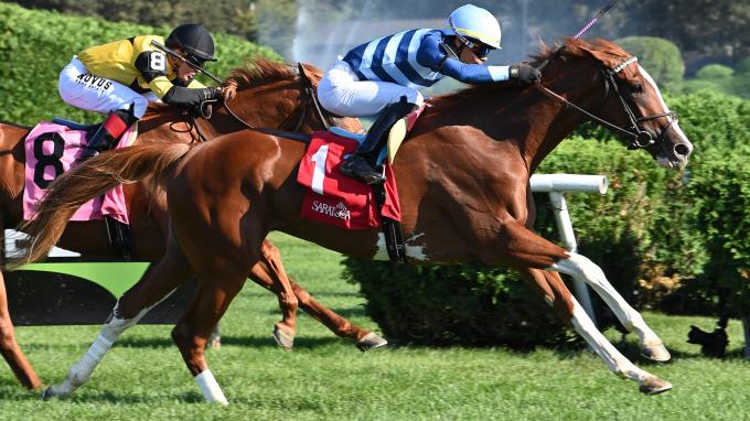 Gala Brand | America's Best Racing