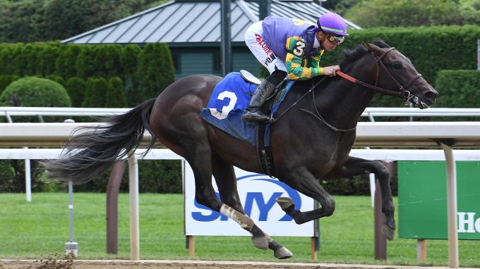 Kevin's Folly | America's Best Racing