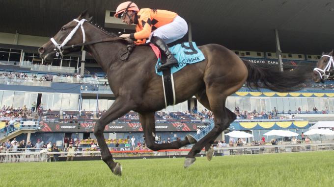 Mohawk Trail | America's Best Racing