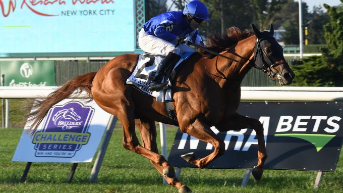 Yibir (GB) | America's Best Racing