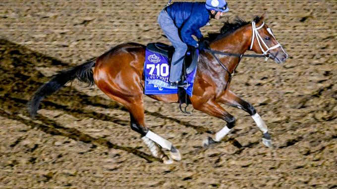 Verifying | America's Best Racing