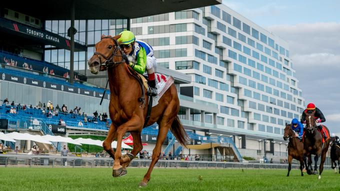 She Feels Pretty | America's Best Racing