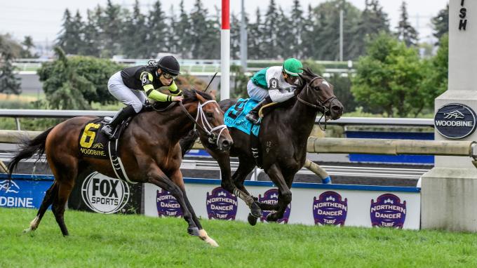 Emma-Jayne Wilson | America's Best Racing