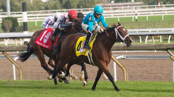 Justin Stein | America's Best Racing