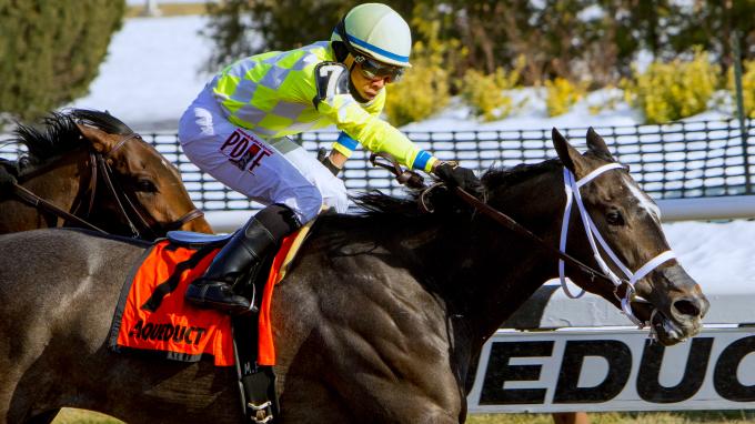 Manuel Franco | America's Best Racing