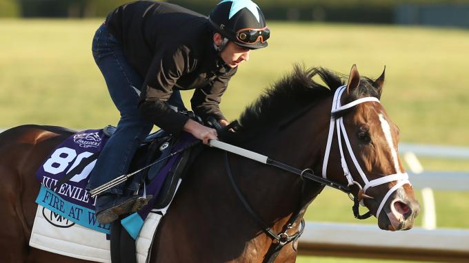 Three Diamonds Farm | America's Best Racing