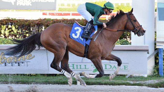 Albaugh Family Stables LLC and Castleton Lyons | America's Best Racing