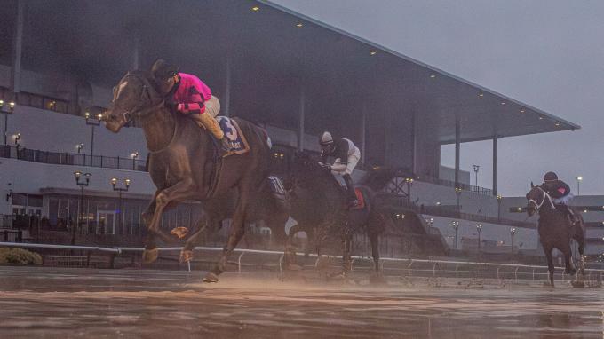 St. Elias Stable, Langone, Ken, Duncker, C. Steven and Vicarage Stable ...