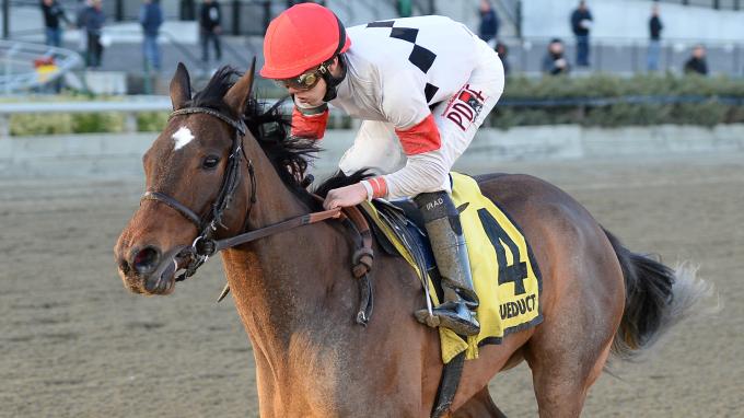 David Jacobson | America's Best Racing