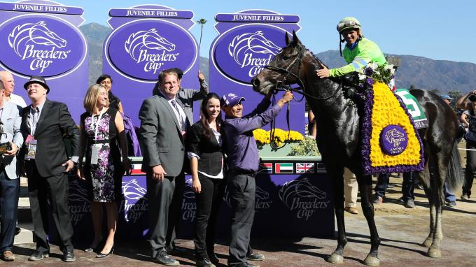 Loooch Racing Stables, Inc. | America's Best Racing