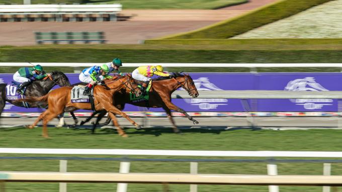 Wise Racing LLC | America's Best Racing