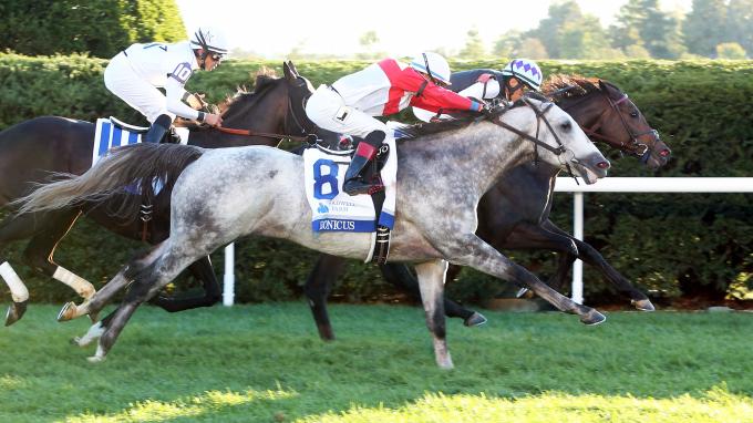 2016 Shadwell Turf Mile S. | America's Best Racing