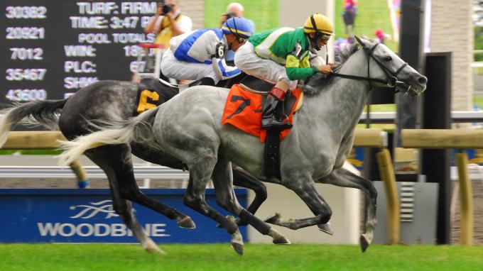 Roger L. Attfield | America's Best Racing