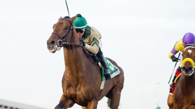 Richard A. Violette, Jr. | America's Best Racing