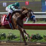 Racetrack Romance: Six Noteworthy Racing Couples | America's Best Racing