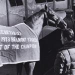Remembering Man o’ War on the 100th Anniversary of His Birth | America ...